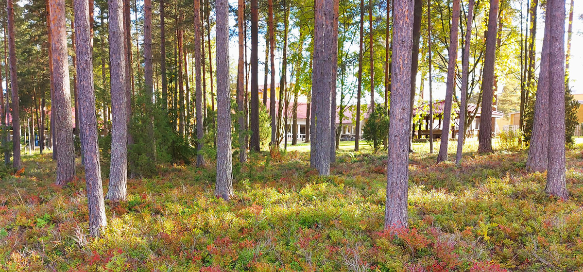 varvikko_DiakonKyla-1 - Diakon